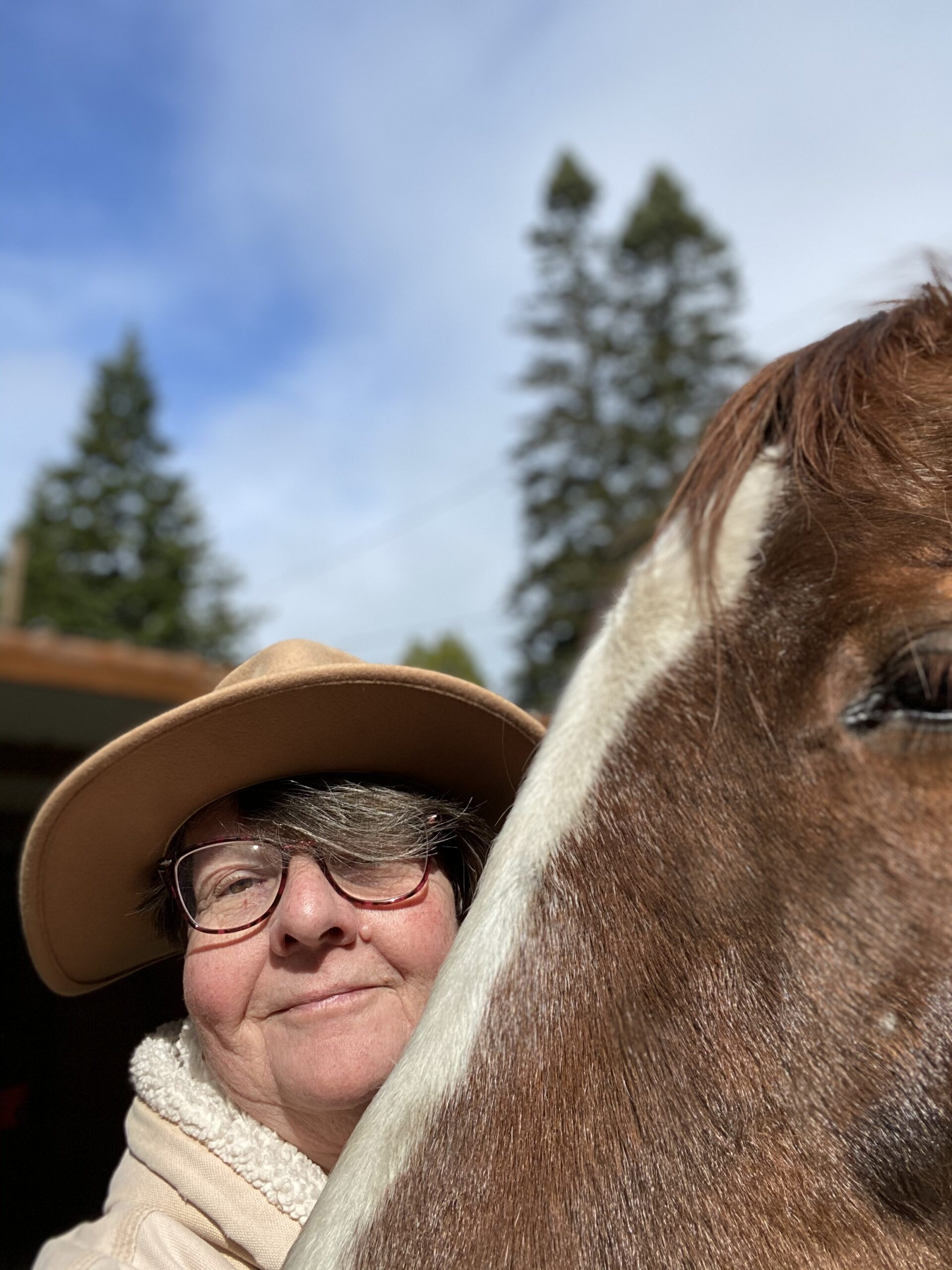 AHE Newsletter Winter 2023 – Association for a Healing Education